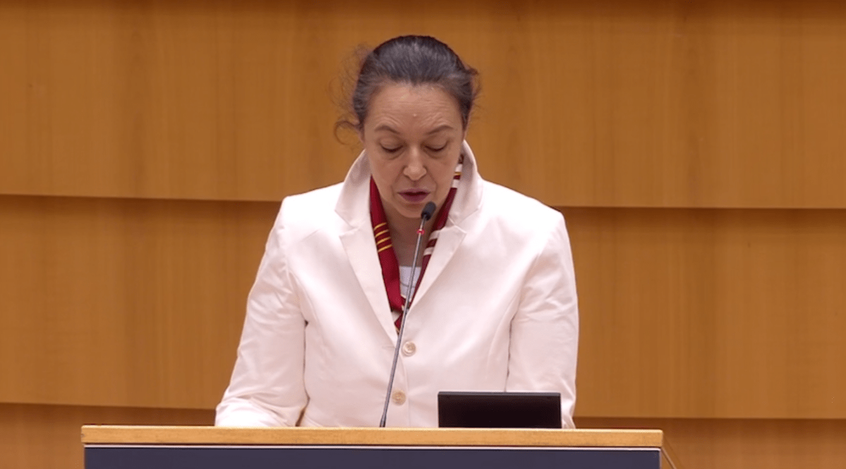 Intervention en Plénière – Situation des droits de l’homme en Turquie ...